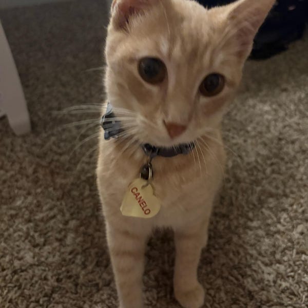 Tip Jar Sign Ride Share Mini QR Code Sign Frosted Acrylic Uber Tipping ...