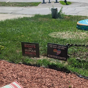 Princess Leia Resistance Yard Sign // 2-sided // Protest - Etsy