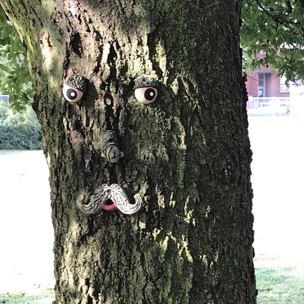 Tree Decorations, Outdoor Sculpture, Ornaments, Funny Faces for Trees ...