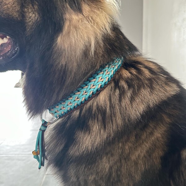 Custom Horse Tack With Name Tag, Personalized Lead Rope for Pets, With ...
