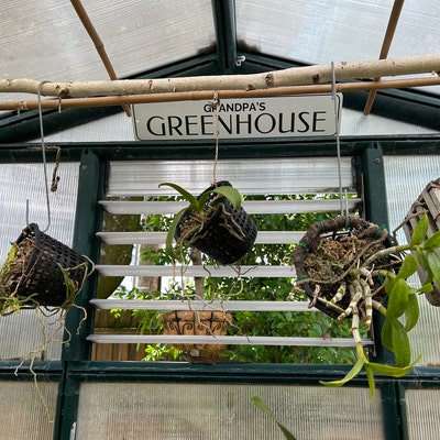 Party in Slow Motion Pontoon Party Party Boat Lake Life - Etsy