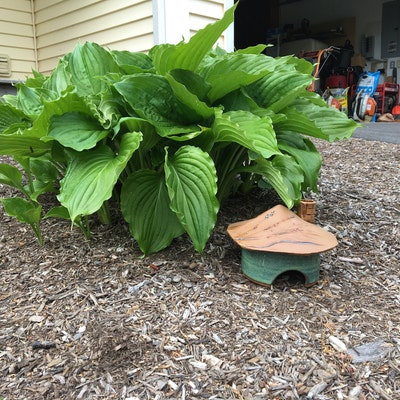 Nature Inspired Blue Toad Abode - Etsy