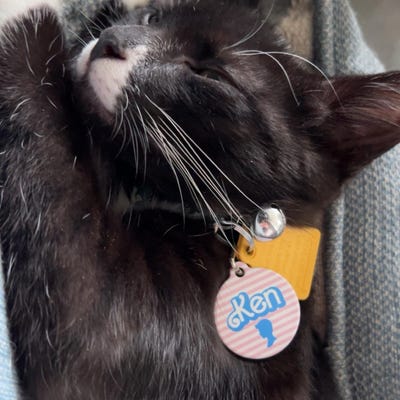 Custom Sci Fi Phone Case, Sci-fi Uniform, Captain, Star, Boldly Go ...