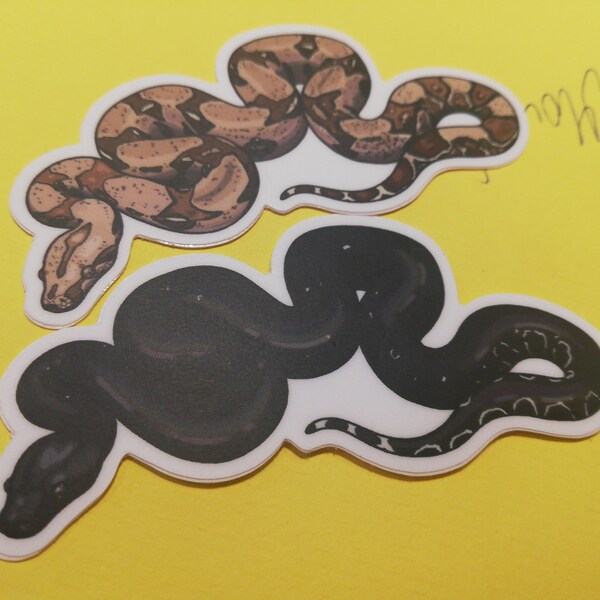 MULTIPLE TYPES Blood Python Sticker Borneo Sticker Magpie Ivory - Etsy