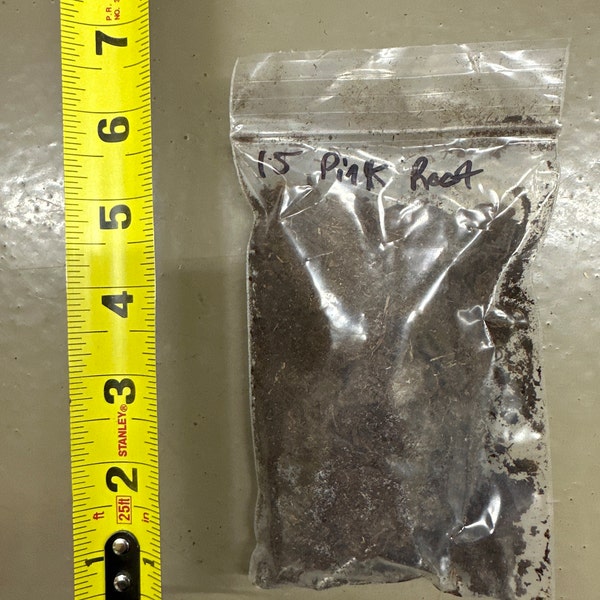 5 Indian Pinkroot Plant Spigelia Marilandica Bare Root Native Perennial ...