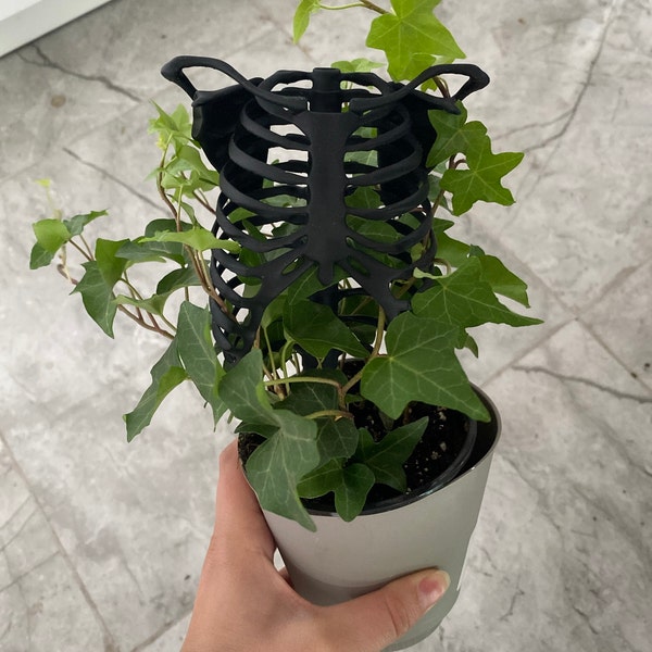 Houseplant Trellis|skeleton|rib Cage|plant Art|indoor Garden Decor|for ...