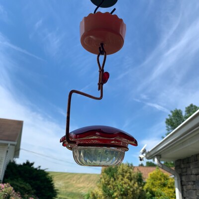 Window Oriole Feeder - Etsy