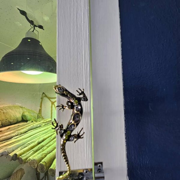 Lizard Drawer Knobs / Lizard Cabinet / Gothic Home Decor / Animal ...