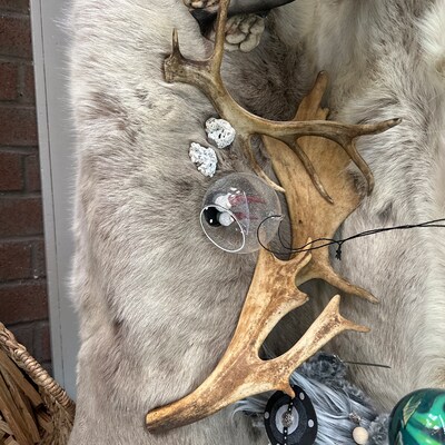 Real Giant European Wild Boar Skin Hooves Hide Pelt Area Rug Hide ...