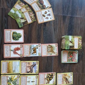 Ecologies Card Game Gameplay Inspired by Nature Use - Etsy