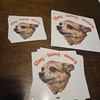 Cavapoo Sticker - Etsy
