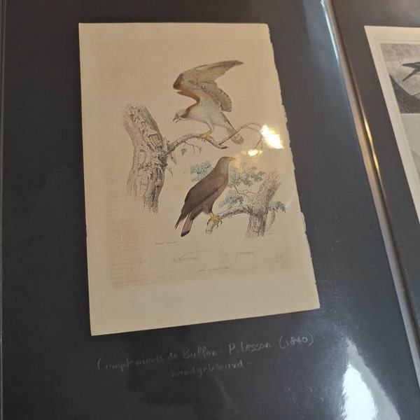 Human Body Part, Rear View / Head and Neck / Human Anatomy ...