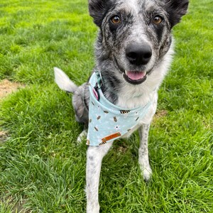 Pomsky or Select Different Breed Outline 1 1/4 - Etsy