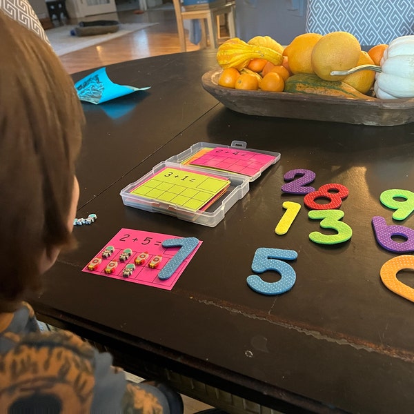 Counting and Color Sorting With Mini Poms Task Box Activity Set ...
