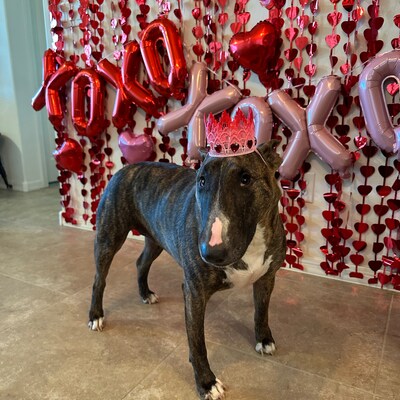 Avatar Balloon Garland Avatar Birthday Party Decorations Party Supplies ...