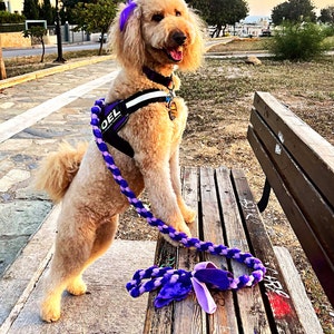 Custom Handmade Fleece and Minky Dog Leash - Etsy