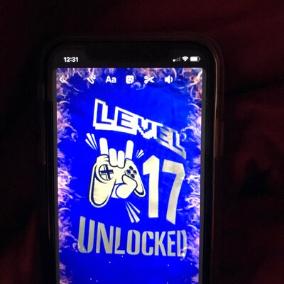 Level 17 Unlocked SVG Cut or Print Diyart 17th Seventeenth - Etsy