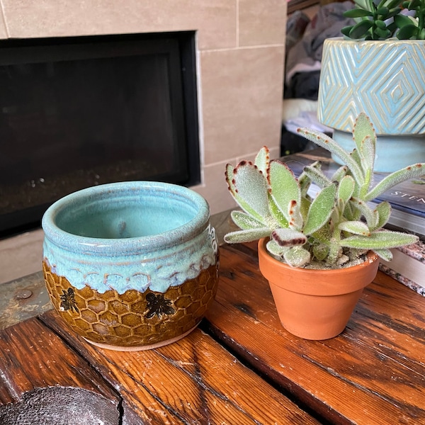 Honeycomb Bee Succulent Planter: Handmade Pottery, Mustard & Seafoam - Etsy