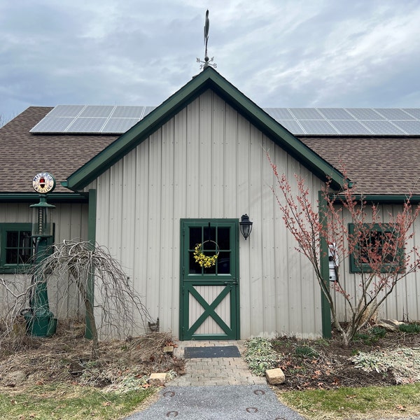 Modern Year-round Lambs Ear and Fern Wreath | Minimalist Greenery ...