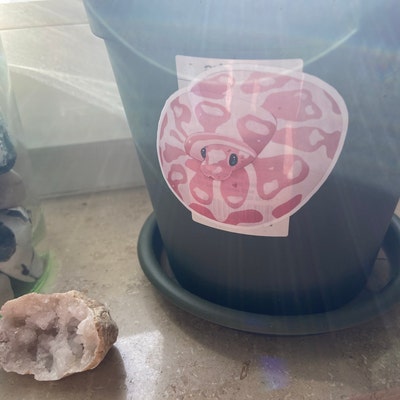 Snake Sticker Boop A Snoot Snake Fruit Sticker Pack Laptop Sticker ...