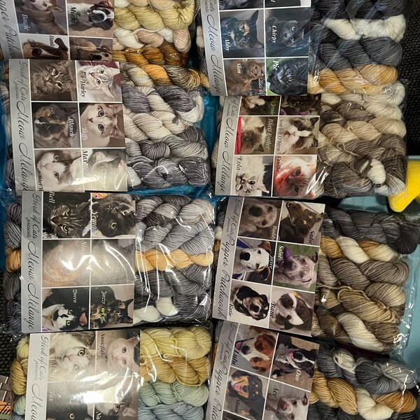 Toe Beans, Sock Club, 85/15 Superwash Merino/nylon Blend, 480 Meters ...