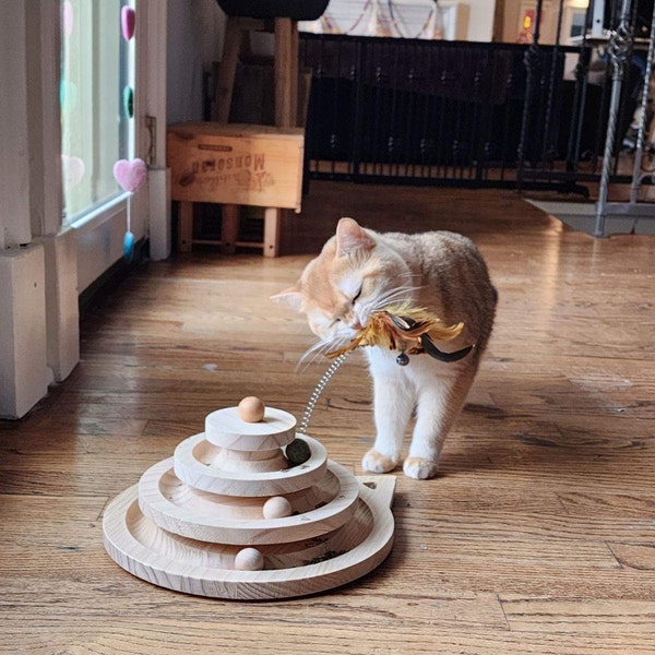 Cat Bed With Cushion, Interactive Cat Furniture, Gift for Cat Lover ...