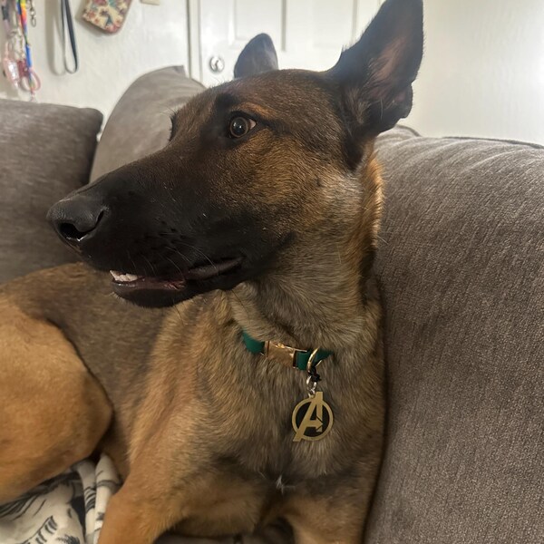 Letter "a" Dog Tag-pet ID Tag-unique Pet Tag-custom Hand Crafted ...