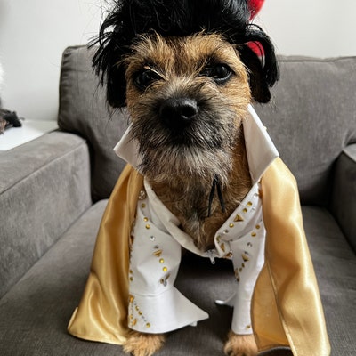 Peter Pan Dog Halloween Costume Pet Peter Pan Costume Peter - Etsy