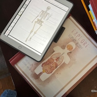 DIGITAL Moon Phases and Planets Poster - Etsy Canada