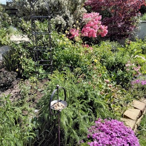 Heavy Duty Peony, Hydrangea GROW THROUGH Plant Support-herbaceous ...