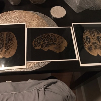 Brain Art Science Art Print Gold Foil Print Brain Anatomy Poster ...