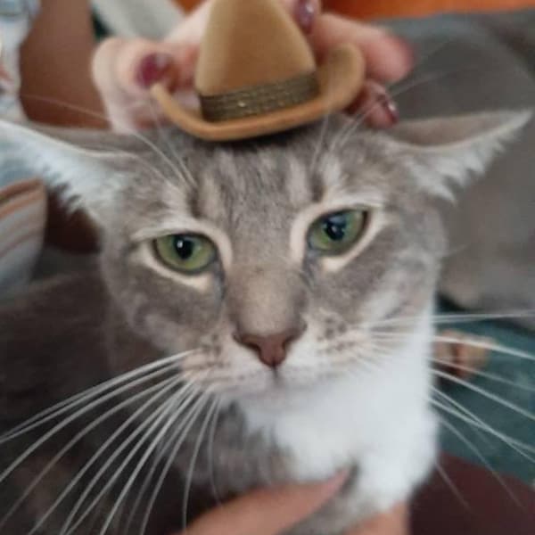 Personalized Beach Bag | Waterproof Bag | Sunscreen Organizer ...