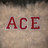 2" Varsity Letter Patch, Any Color Combo, Custom Made! - Etsy