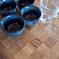 Loquat Fruit Stem With Foliage Artificial, Faux Berry Branch, Quality ...