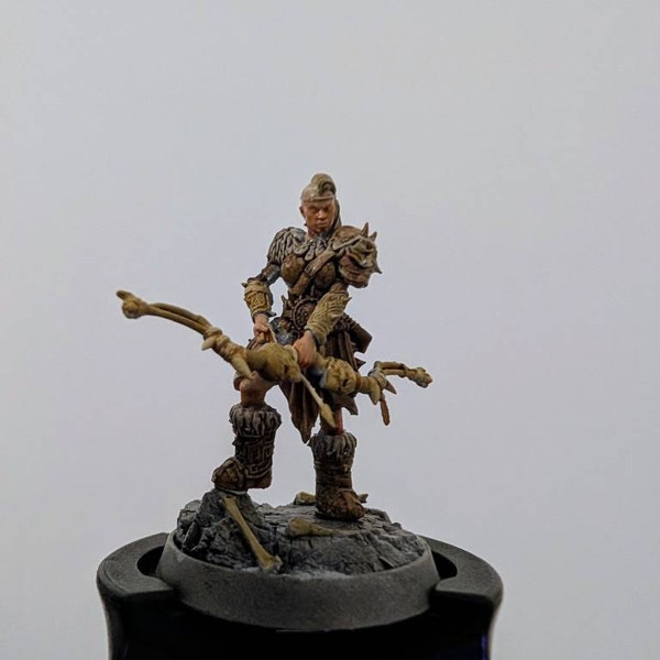 D&D Human Fighter/paladin | Standard Bearer | 3D Printed Resin ...