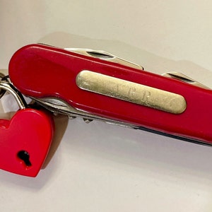 Real Heavy Duty Plastic Cow Tag Plastic Livestock ID Tag Plastic Bull ...