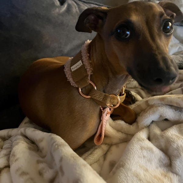 FLUFF || Fluffy Lining / Colour Change - Etsy