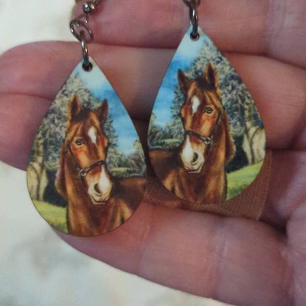 Bear License Plate, License Plate Bear, Black Bear Front License Plate ...