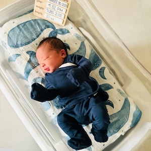 Birth Stats Sign, Baby Name Sign, Baby Birth Announcement Sign, Nursey ...