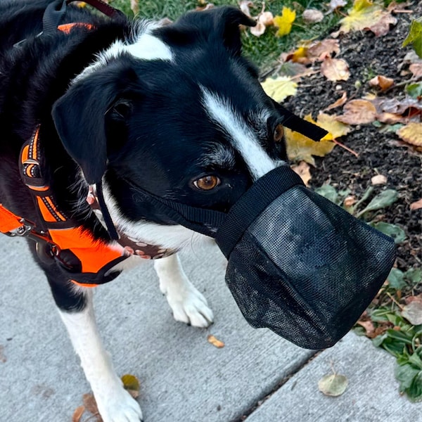 Smuzzle: A Soft Muzzle That Lets Your Dog Smile - Etsy