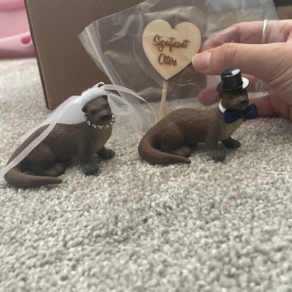 Otter-wedding-bride-groom-animal-unique-funny-wildlife-significant ...