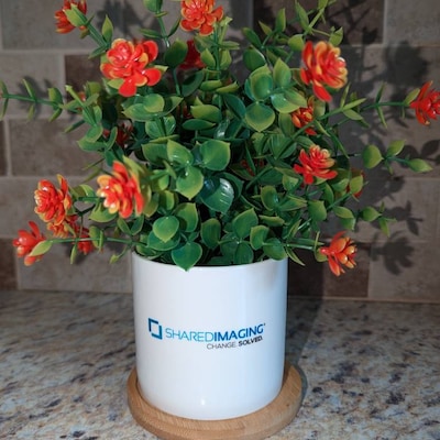 Personalized DNP Graduation Gift 3 White Ceramic Pot W/ Live Plant DNP Gift Doctor of Nursing ...