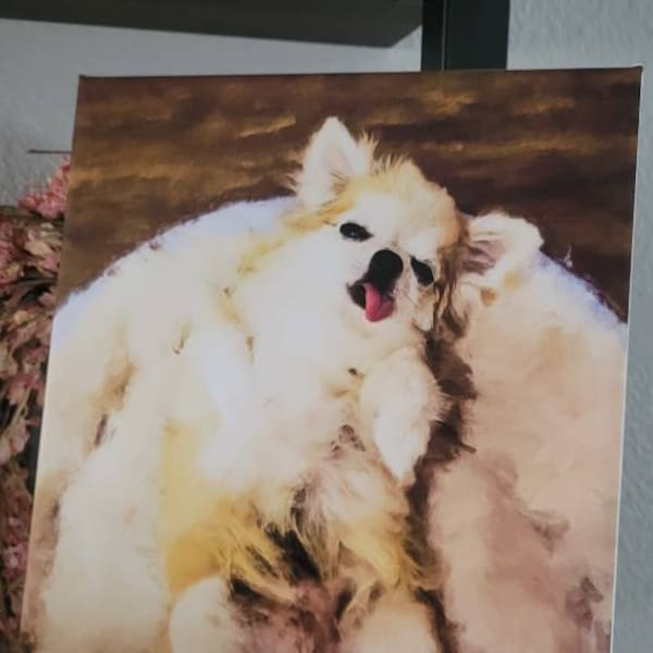 Custom Pet Portrait Painting From Photo- Dog Portrait-memorial Gift for ...