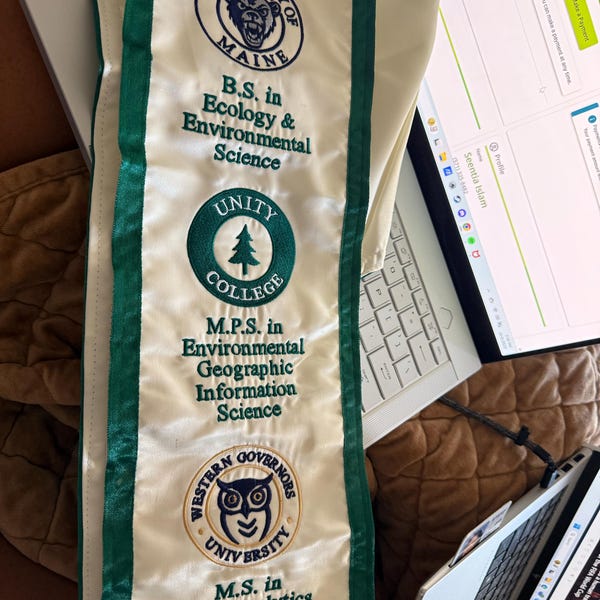 Personalized Graduation Stole, Custom Embroidered Sash for Nursing ...