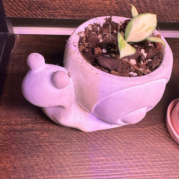 Cement Snail Pot With Natural Finish, Snail Planter, Garden Snail ...