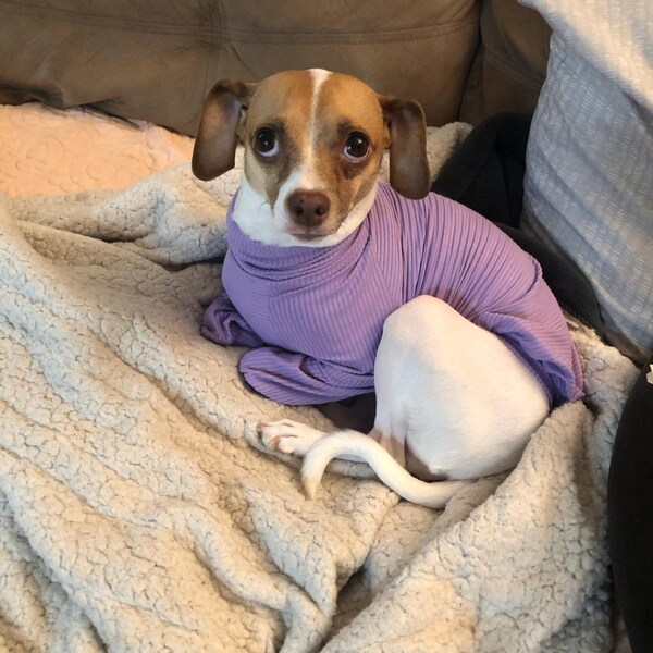 Italian Greyhound Rib Knit Pjs - Etsy