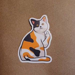 Cat Flipping off Sticker, Funny Meme Sticker, Cat Mom, Cat Sticker ...