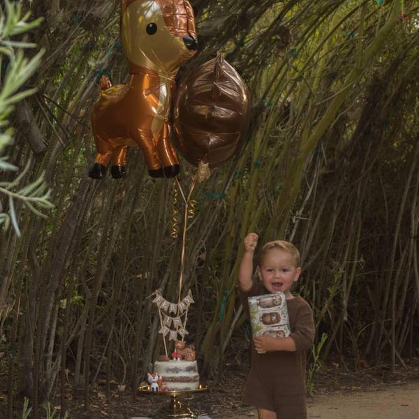 Woodland Animals Balloons - Woodland Baby Shower, Woodland First ...