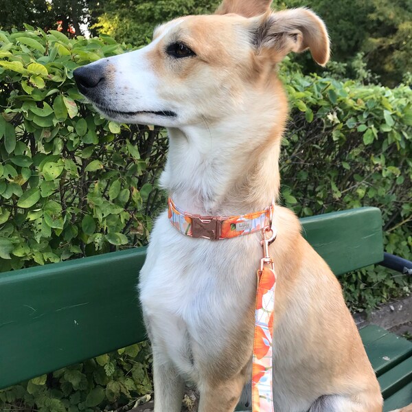 Pink Dog Leash, Herringbone Dog Leash, Girl Dog Leash, 6 Ft Pet Leash ...