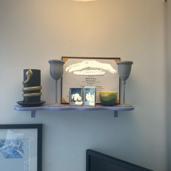 Wavy Shelf | Squiggle Shelf | Funky Decor | Maximalist | Pastel Shelves ...